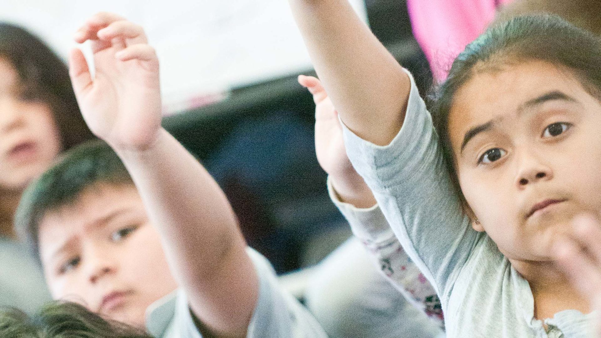 Locate A Charter School Illinois Network Of Charter Schools